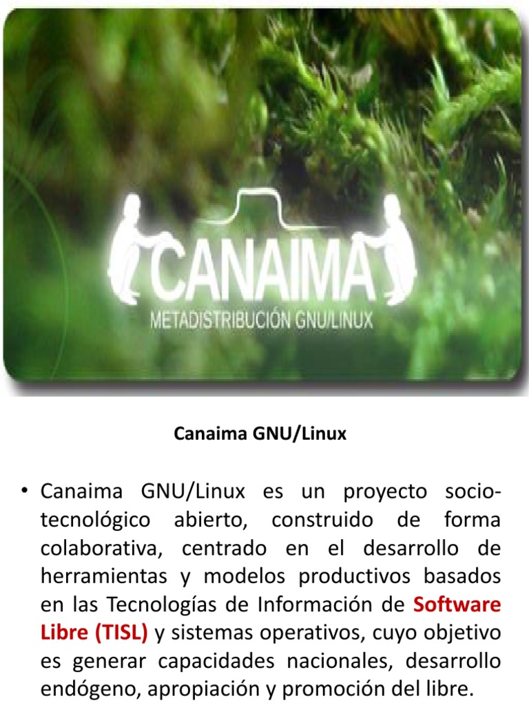 Canaima 3.0 | PDF | Archivo de computadora | Contraseña