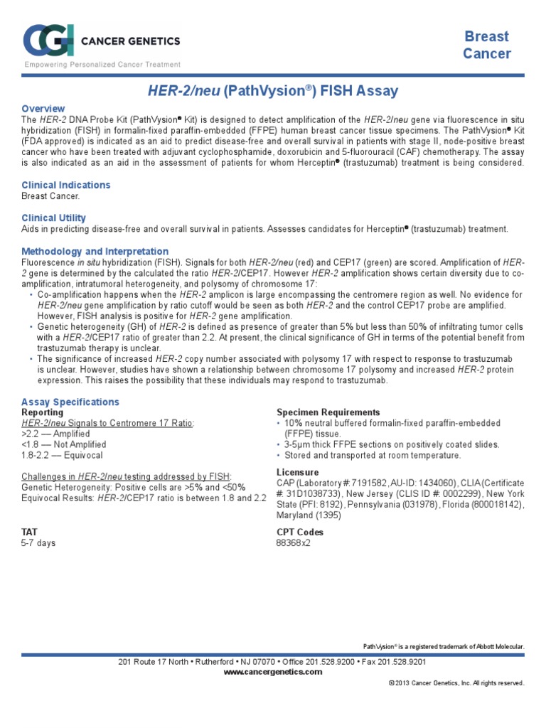 HER2 FISH | Fluorescence In Situ Hybridization | Molecular Biology ...