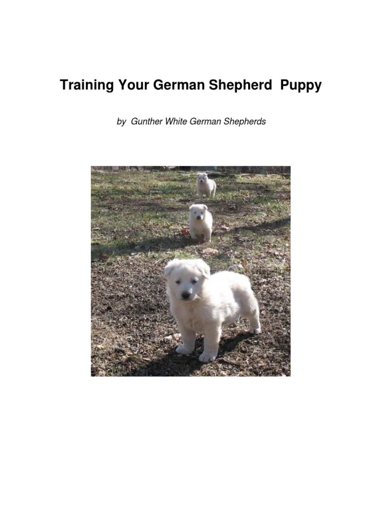 Training Your German Shepherd Puppy | PDF | Leash | German Shepherd