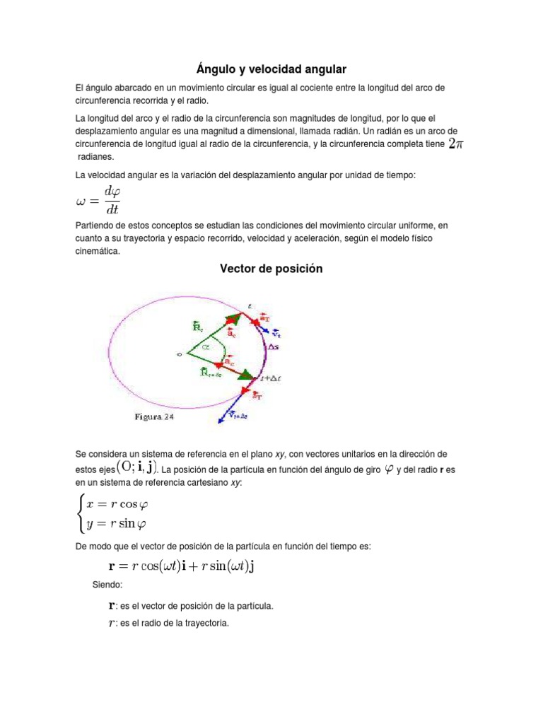 Ángulo y Velocidad Angular | PDF | Aceleración | Movimiento (física)