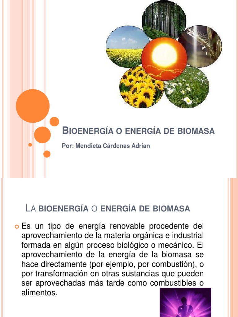 Bioenergía o Energía de Biomasa | PDF | Bioenergía | Recursos energéticos