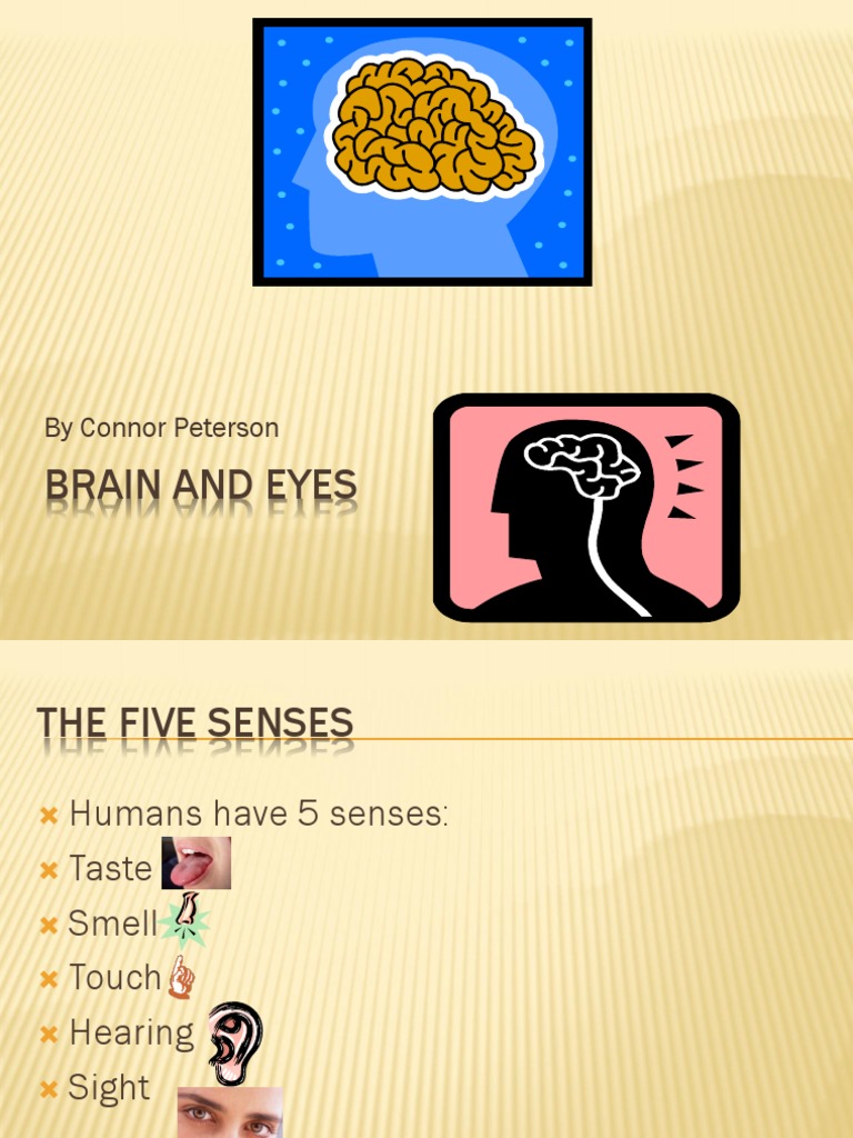 Understanding Eye Anatomy and Vision | PDF