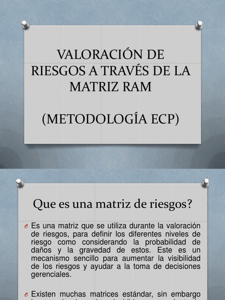 Valoración Matriz RAM | PDF | Negocios | Tecnología
