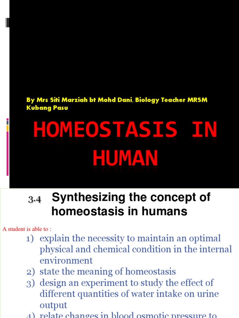 Osmoregulation and Homeostasis in Humans | PDF | Kidney | Animal Anatomy
