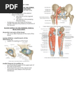 Lower Limb Mnemonics Guide | PDF | Human Leg | Foot