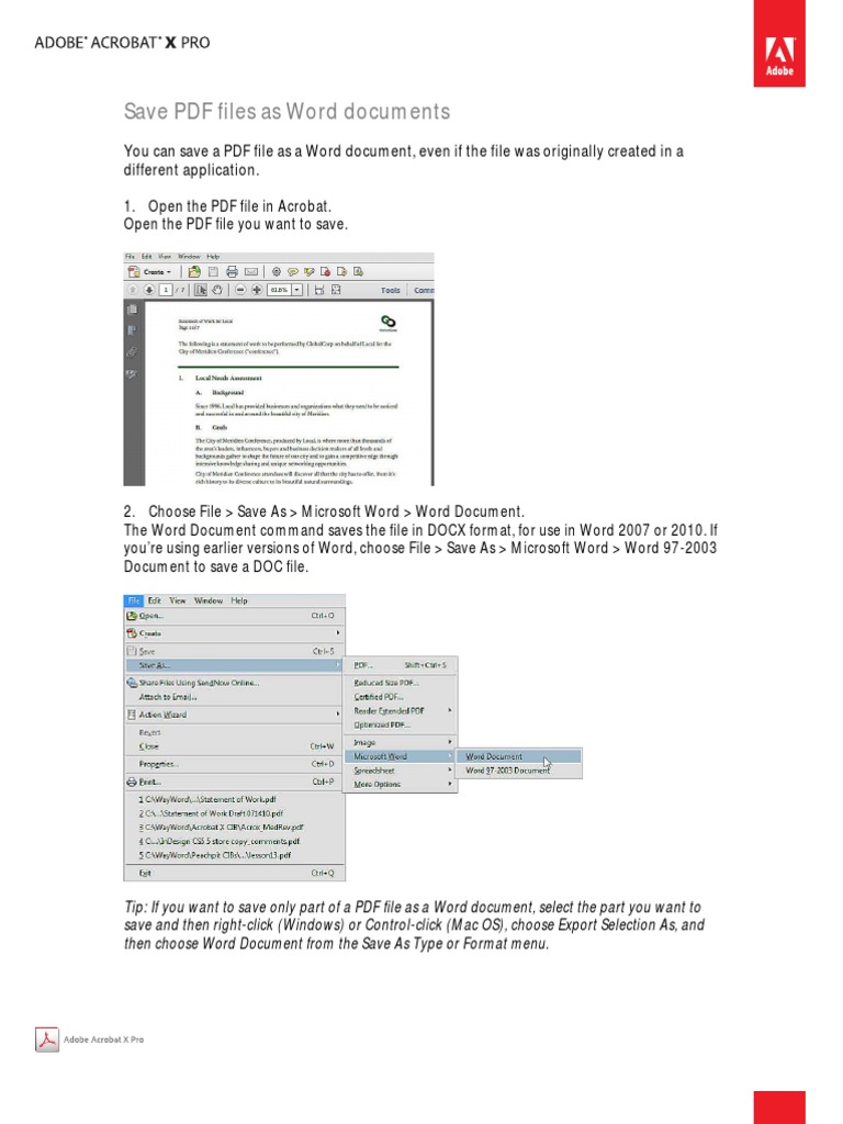 Convert PDF to Word Guide | PDF