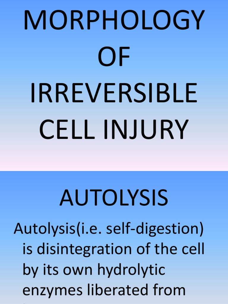 Morphology of Irreversible Cell Injury | PDF | Apoptosis | Necrosis