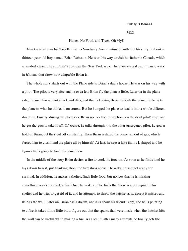 Hatchet Paragraph | PDF