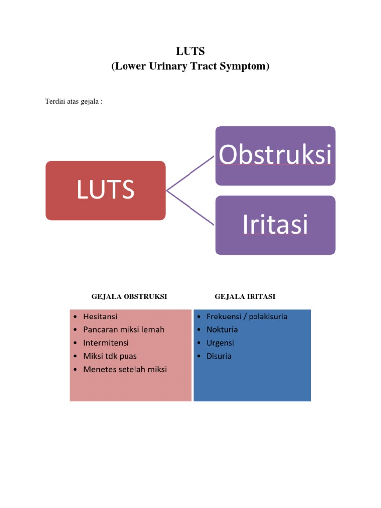 PPT Lower Urinary Tract Symptoms LUTS PowerPoint, 59% OFF