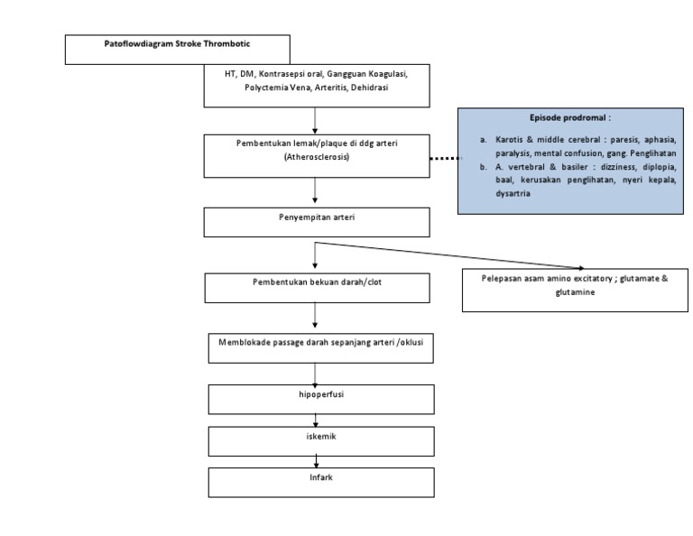 Patoflow Stroke | PDF