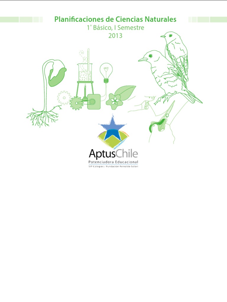 1 Basico Ciencias | PDF