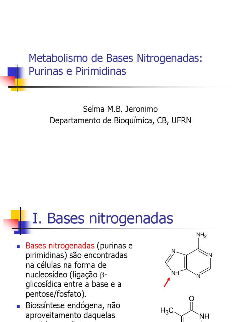 Metabolismo de Bases Nitrogenadas | PDF | Trifosfato de adenosina | Gota