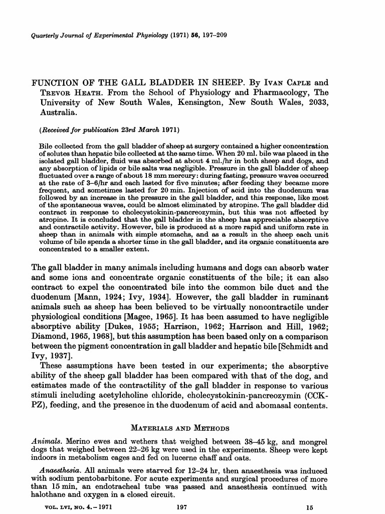 Sheep Gallbladder Function and Anatomy | PDF | Gallbladder | Bile