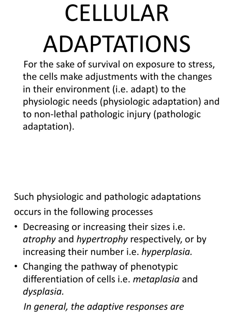 Cellular Adaptations | PDF | Atrophy | Epithelium