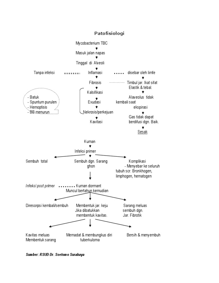 PATOFISIOLOGI TUBERKULOSIS PARU | PDF