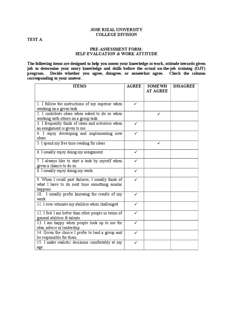Jru Pre-Assessment Form | PDF | Time Management | Professional Skills