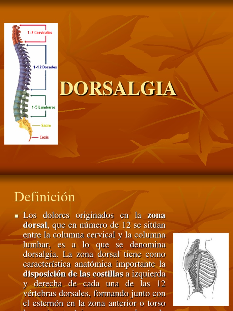 Dorsalgia | PDF