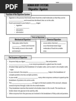 Digestive System Coloring Worksheet | PDF