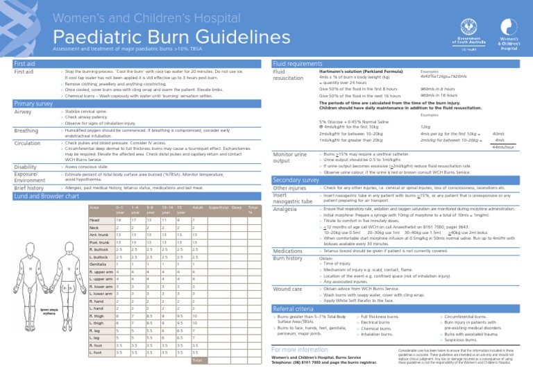 Burns Guidelines Quick Reference Chart | PDF | Burn | Cardiopulmonary ...