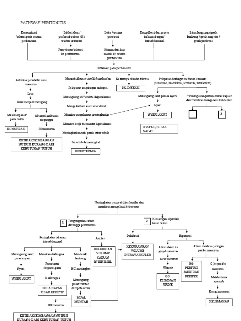 Pathway Peritonitis | PDF
