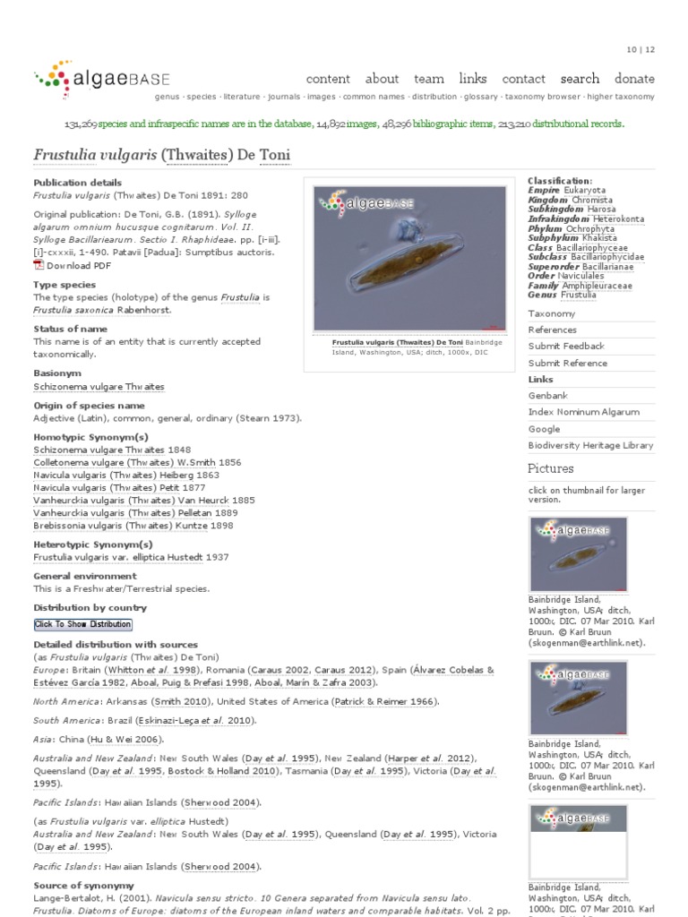 Frustulia Vulgaris (Thwaites) de Toni - Algaebase | PDF | Scientific ...