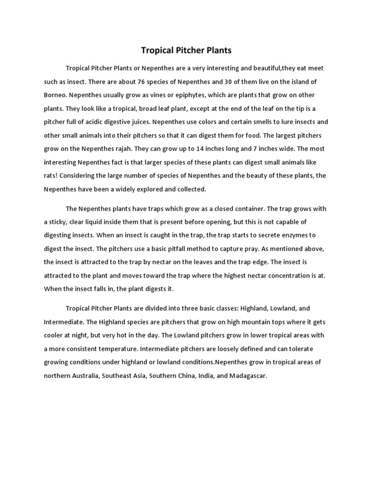 Contoh Text Report | PDF | Organisms | Plants