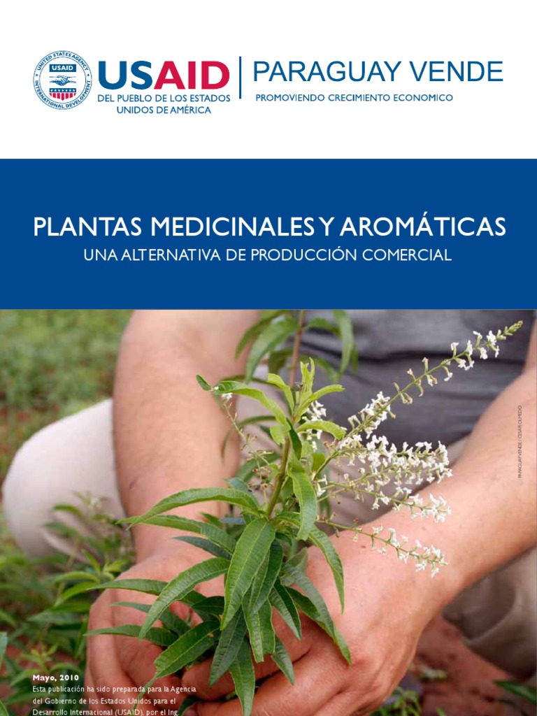 Mata Andrea: Planta Medicinal en Paraguay | PDF
