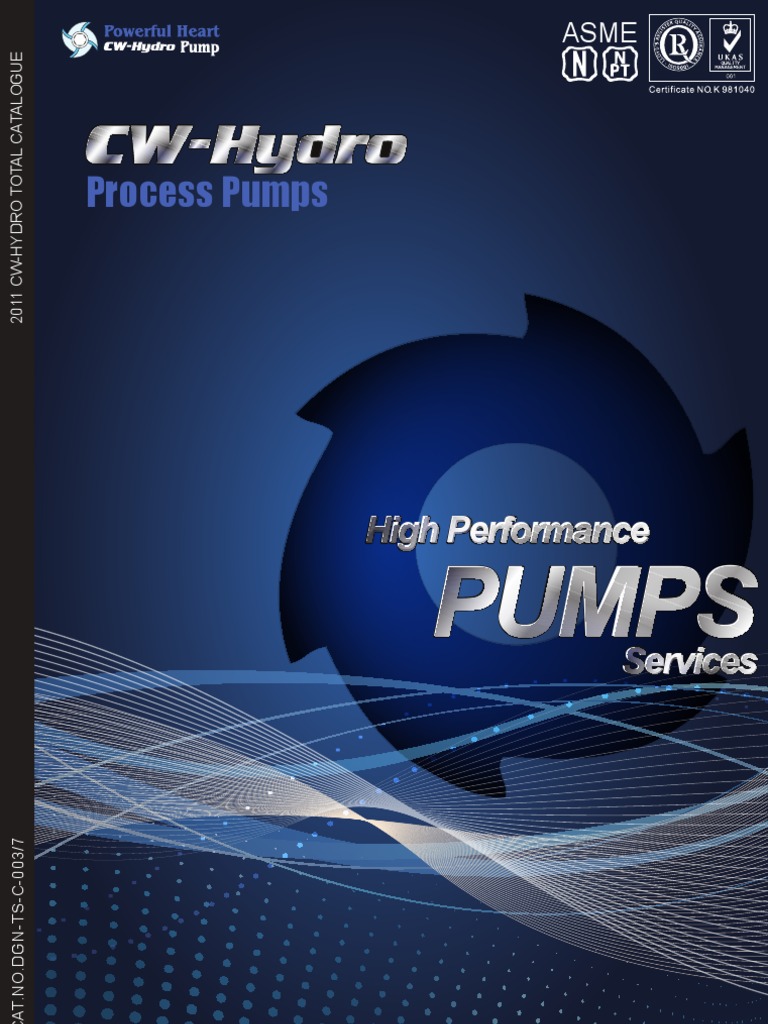 CW Hydro Pump PDF | PDF | Bearing (Mechanical) | Pump