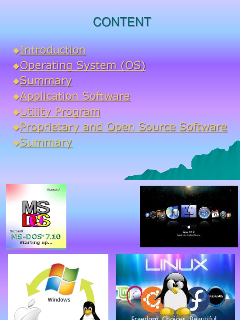Content: Operating System (OS) Application Software Utility Program Proprietary and Open Source ...