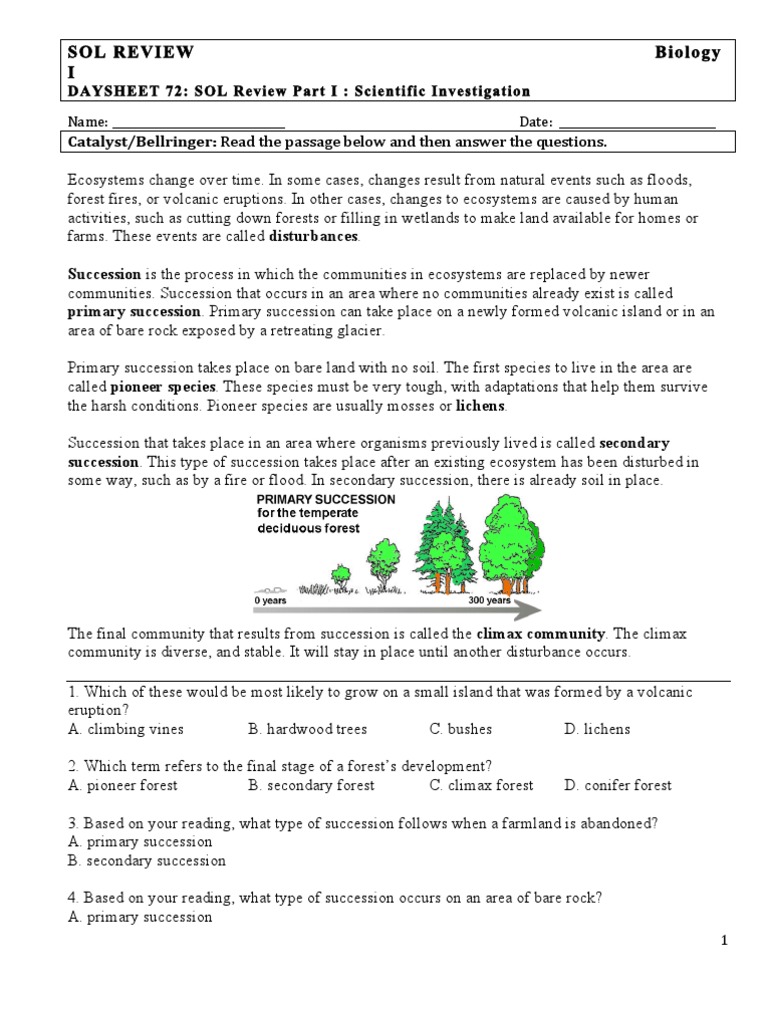 ds72 Sol Review Scientific Method | PDF | Observation | Disturbance ...