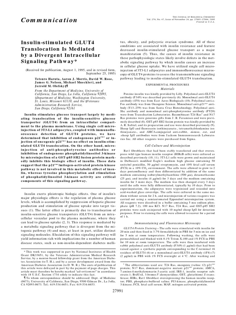 Sem4a Insulin1995 JBC | PDF | Insulin | Phosphorylation