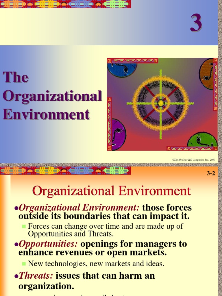 The Organizational Environment: Irwin/Mcgraw-Hill | PDF