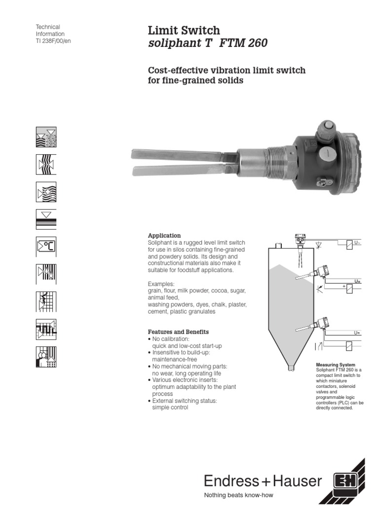 Endress Hauser D-79689 Maulburg | PDF | Relay | Power Supply