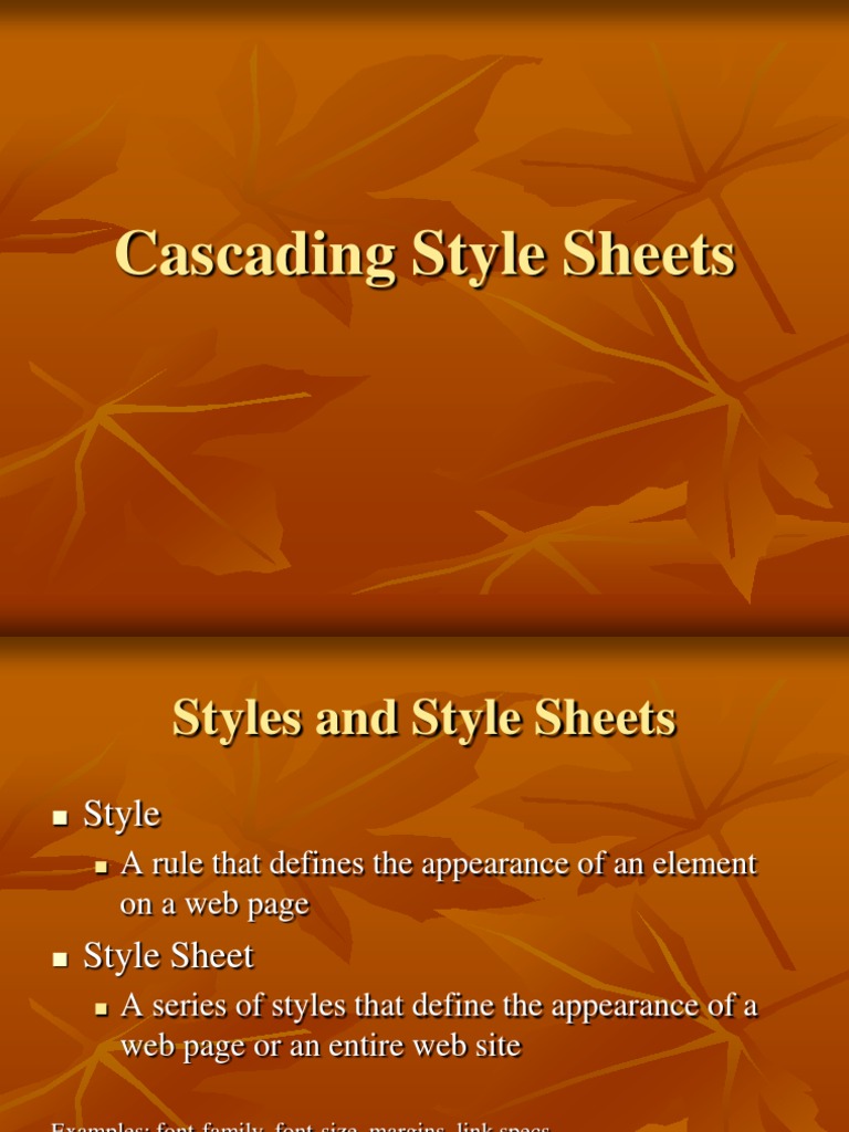 Week 5 | PDF | Cascading Style Sheets | Software Engineering