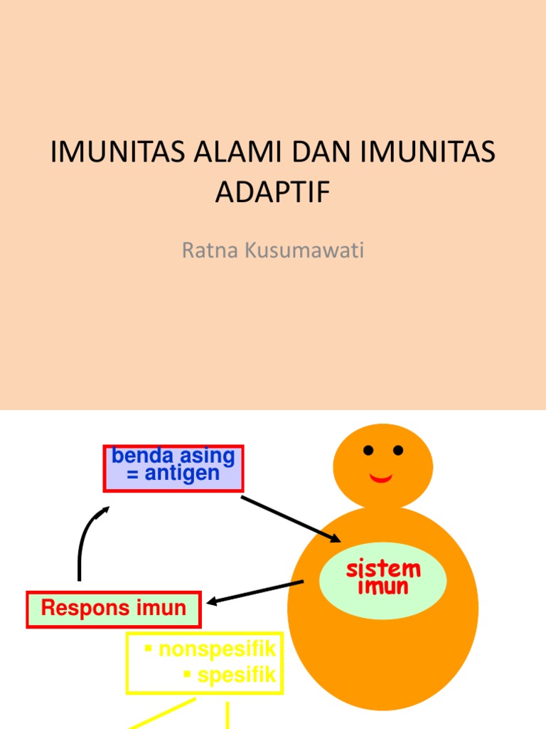 Imunitas Alami Dan Imunitas Adaptif | Innate Immune System | Immune System