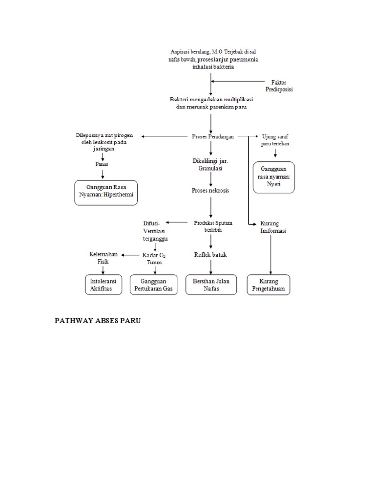 Pathway Abses Paru | PDF