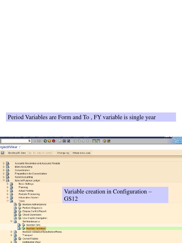 SAP Report Group Creation Guide | PDF | Finance & Money Management