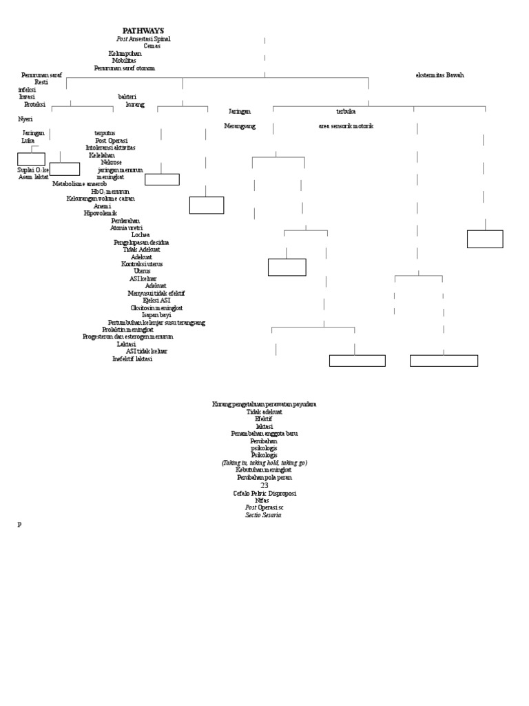 Pathways Post Op SC | PDF