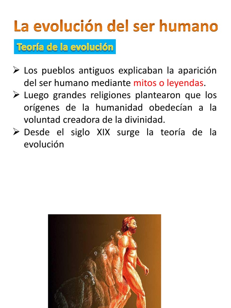 origen del hombre.ppt