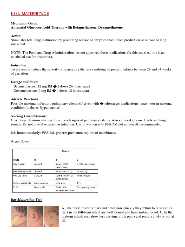 Hesi Maternity Ob PDF | PDF | Pregnancy | Childbirth