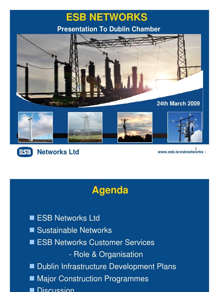 ESB Networks Presentation To Dublin Chamber | PDF | Electric Power ...