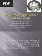 Parche de Graham | PDF