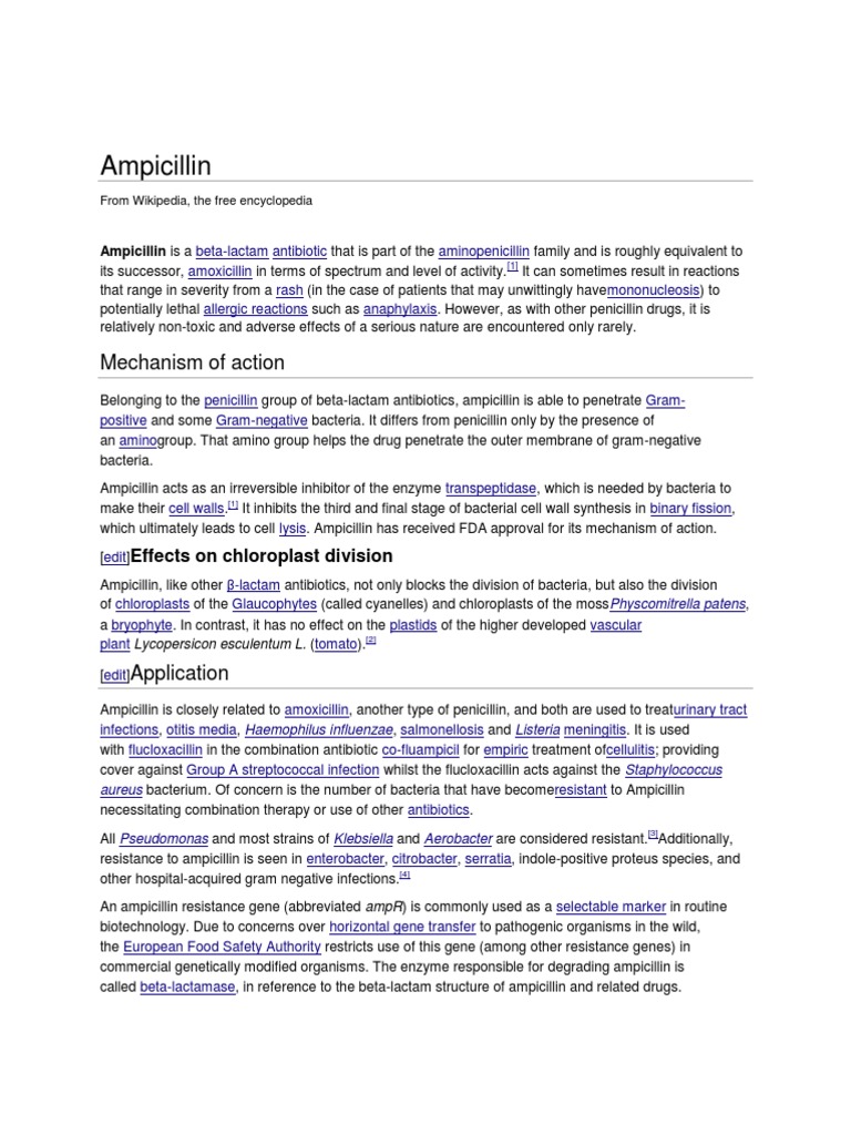 Ampicillin: Mechanism of Action | PDF