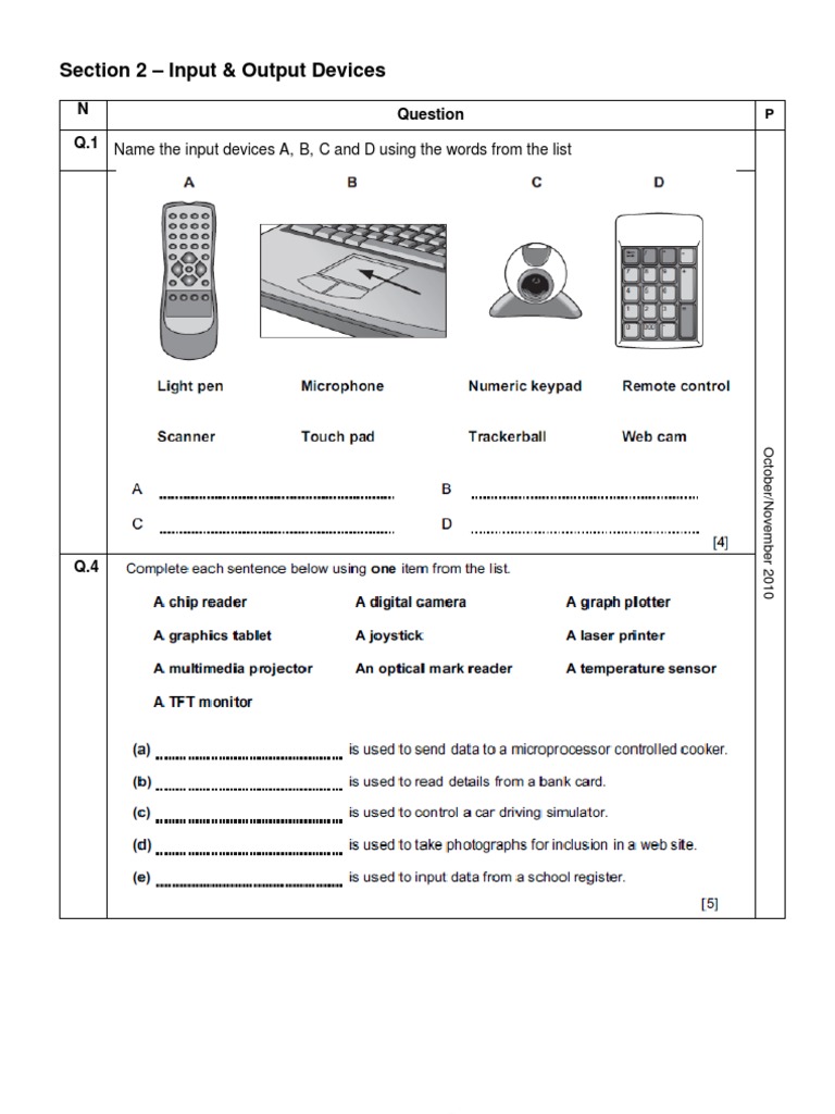 Section 2 - Input and Output Devices | PDF