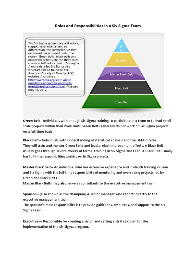 Six Sigma Team Roles Explained | PDF