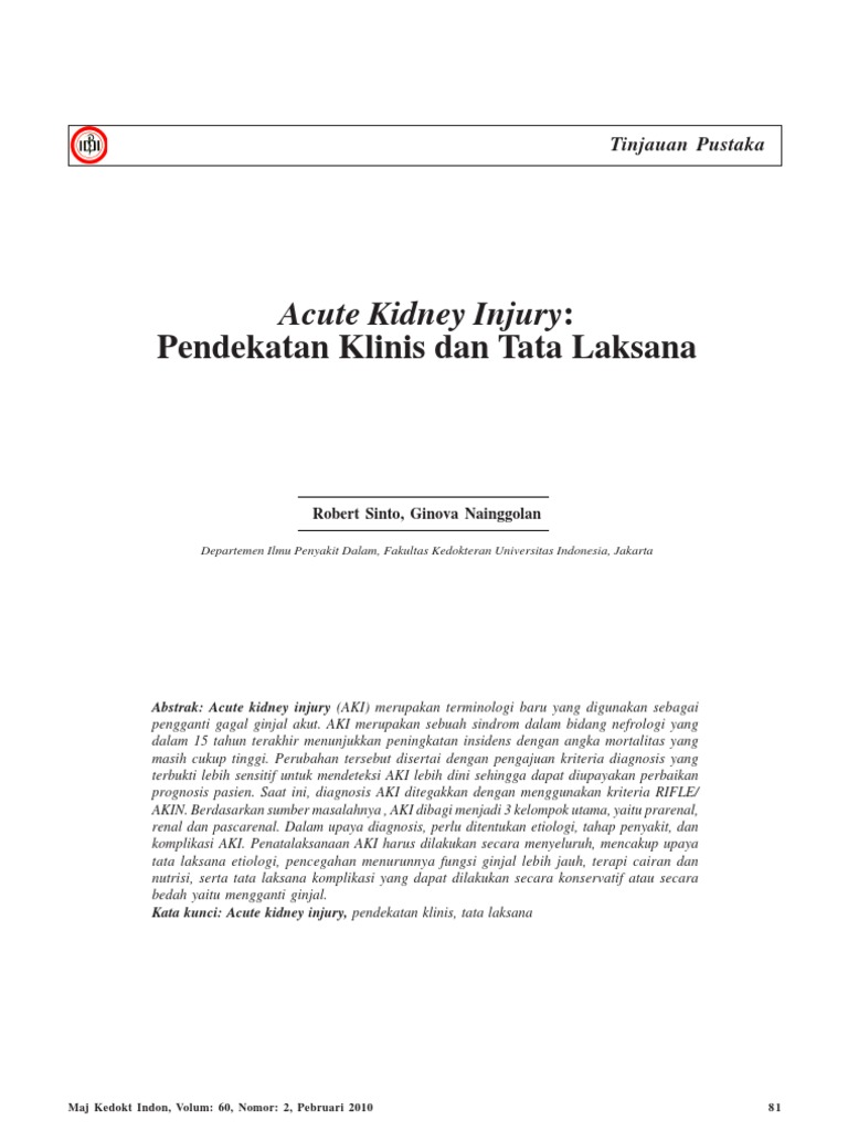 Aki PDF | PDF