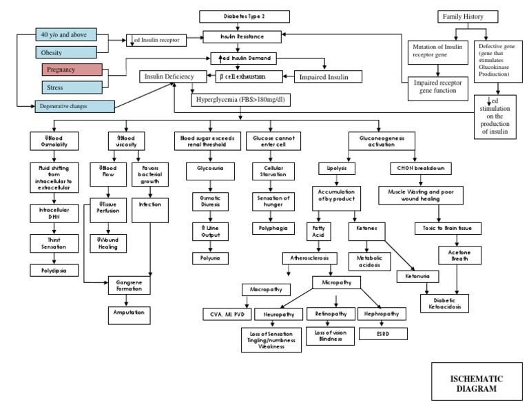 Diabetes Mellitus Type 1 Diagram
