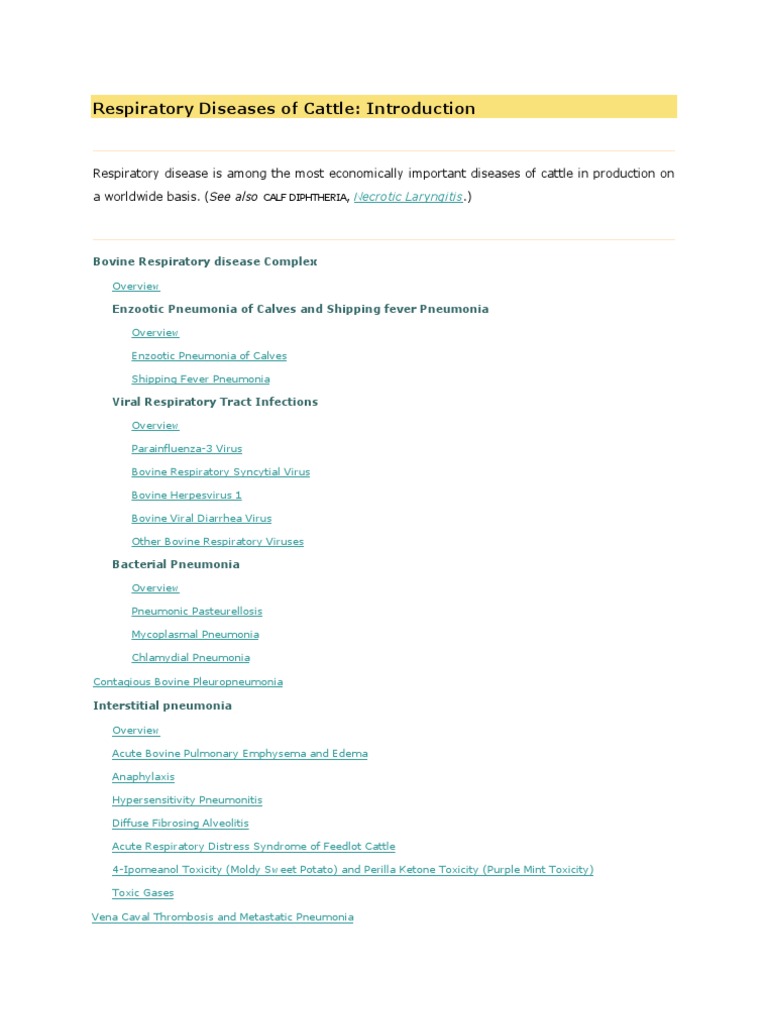 Cattle Respiratory Diseases Overview | PDF | Pneumonia | Infection