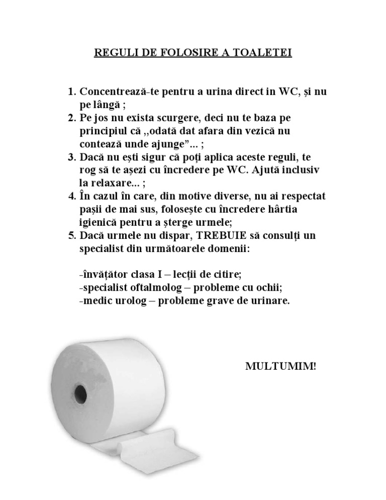 Reguli de Folosire A Toaletei | PDF