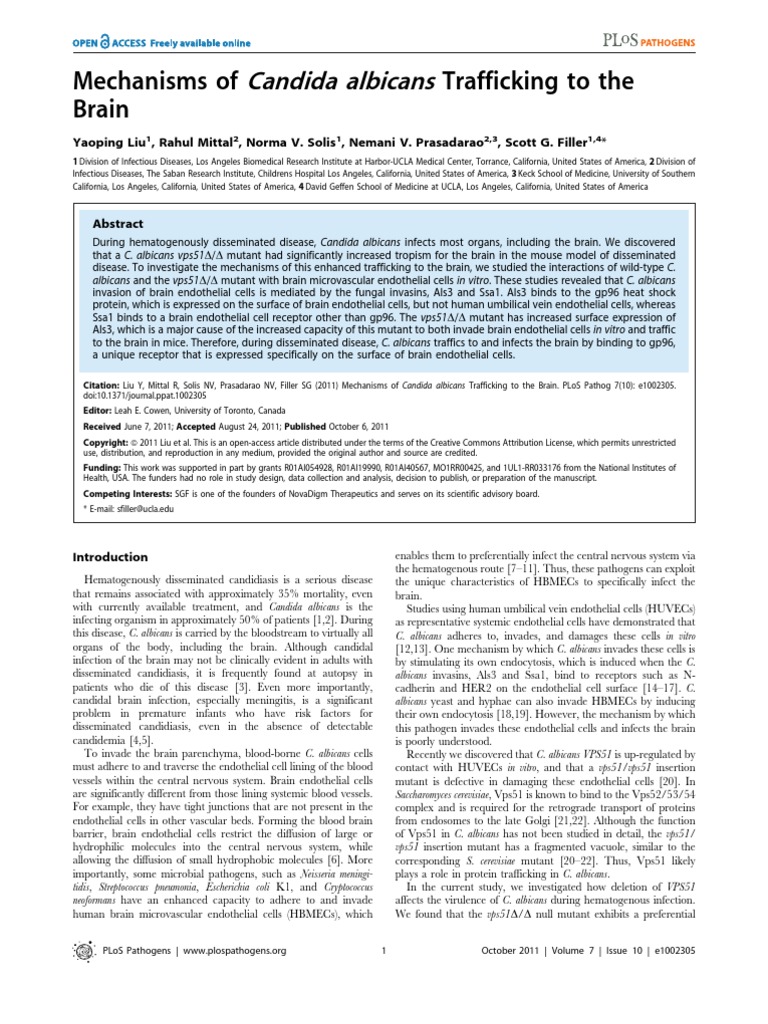 Candida Albicans Invasion of Brain | PDF | Candida (Fungus) | Infection